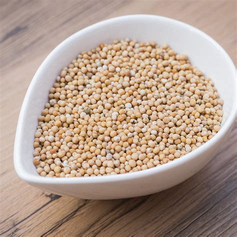 简心白芥子by丹霄万里白芥子第11页大山谷图库