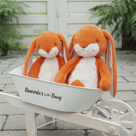 New Arrivals Bunnies By The Bay