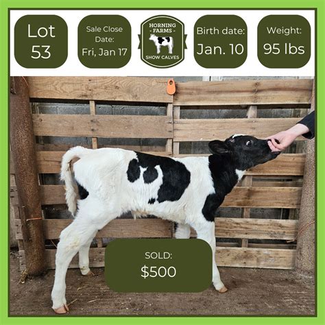 Lot 012 Hornings Farm Shop