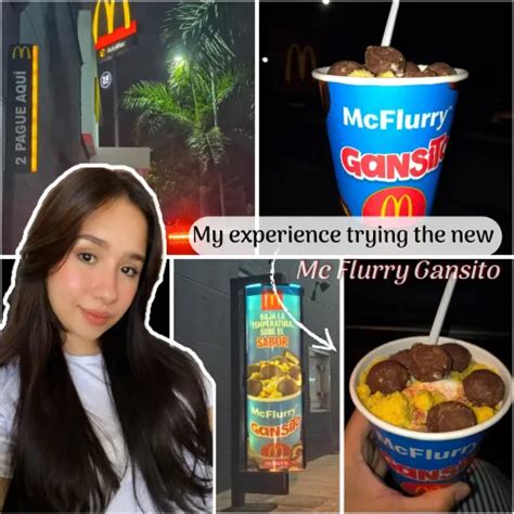 Mi Experiencia Probando El Nuevo Mcflurry Gansito 🙋🏻‍♀️🍦 Esp En