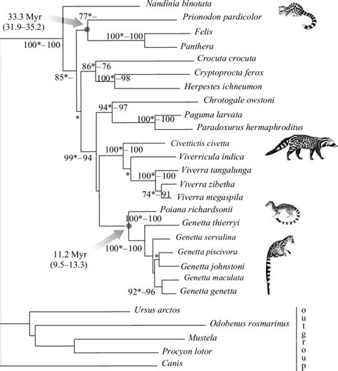 Ml Tree Gtr Model With Rate Distribution 03201 Based On The 1915 Download Scientific