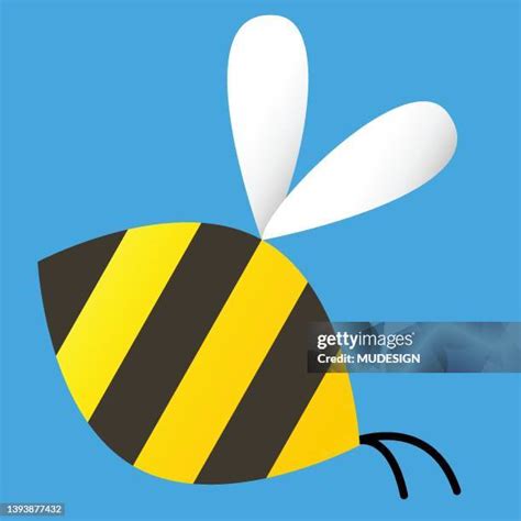 15 Logo Stinger High Res Illustrations Getty Images