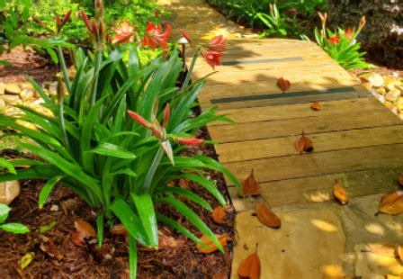 Landscape Design Services Marietta Ga Green Landscaping