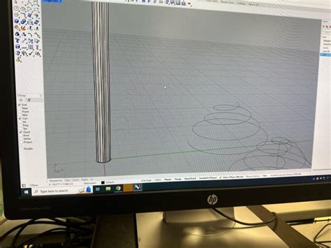 Rhinoceros Grasshopper