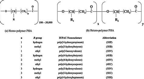 Structure Of Polyhydroxyalkanoates Reprinted From 49 By Permission