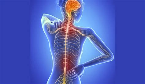 Mujer Y Esclerosis Múltiple2 Grupo Scanner Vizcaya