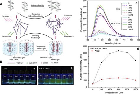 A Aee Model And Tocnc Aani Fluorescence Responsiveness Diagram B