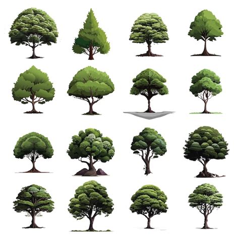 Premium Vector Tree Brunch