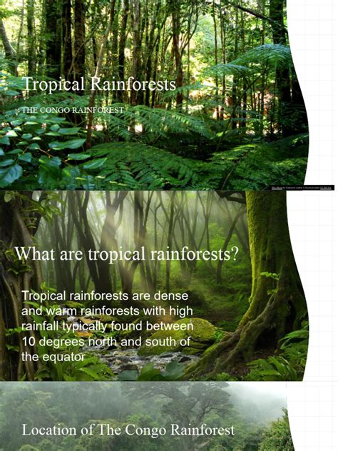 Equatorial Climate In A Rainforest Pdf