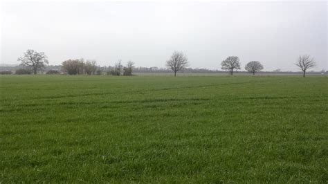 Didcot Trees Valley Park