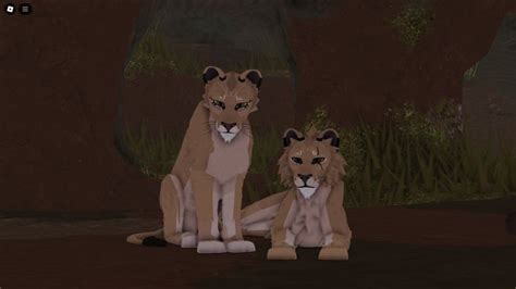 140 Lions Pride Morph Ideas In 2025 Lion Pride Lion Pride
