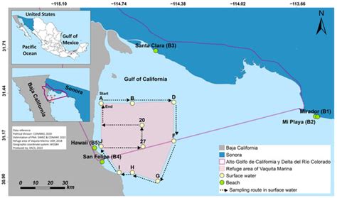 Presence Of Microplastics In The Vaquita Marina Protection Zone In Baja