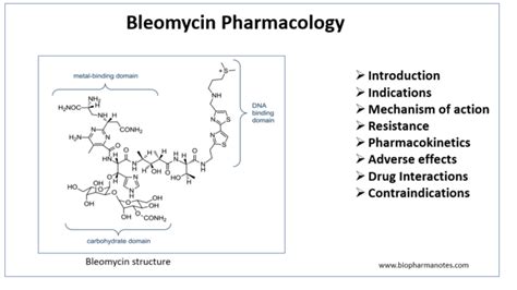 Bleomycin Biopharma Notes