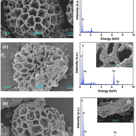 Sem And Edx Analysis Of A B Sp C D Fe3o4 Sp And E F Pda Paam Fe3o4