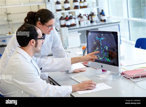 Docking 3d Computational Model To Simulate The Molecular Dynamics Of