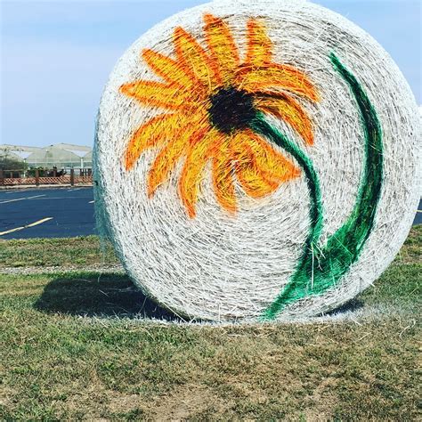 Hay Bale Art Ideas At Ilene Haase Blog