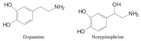 10 8 Basics Of Neurotransmitters Chemistry Libretexts