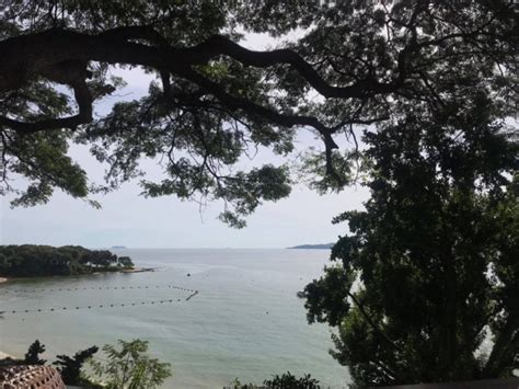 Pisha Has Joined Classmethod Developersio