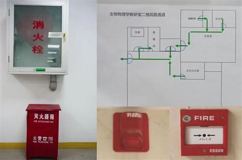 Safety Nmu China