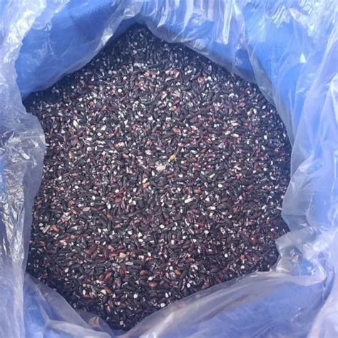 Igorot Balatinawmalagkit Diket Shopee Philippines