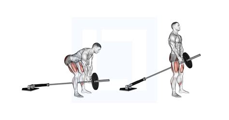 Resistance Band Side Walk Guide Benefits And Form