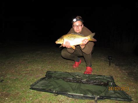 Sex Carp And Rock`n Roll 032312