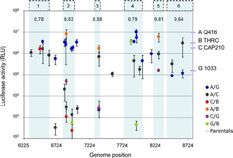 Functionality Of Recombinant Envelope Proteins Functionality Of The