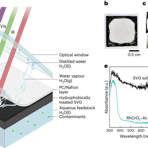 Erwin Reisner University Lecturer And Head Of Christian Doppler