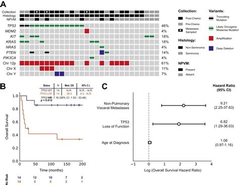 Tp53 Alterations Are Associated With Poor Survival In Patients With Primary Mediastinal
