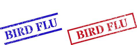 Bird Flu Vector Images Over 1200