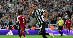 William Osula Loan Decision Parked As Newcastle United Try To Sign Two Strikers Chronicle Live