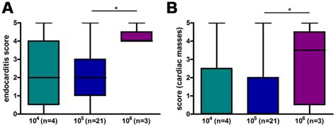 Mri Scores Depend On Number Of Infecting Bacteria Endocarditis Score