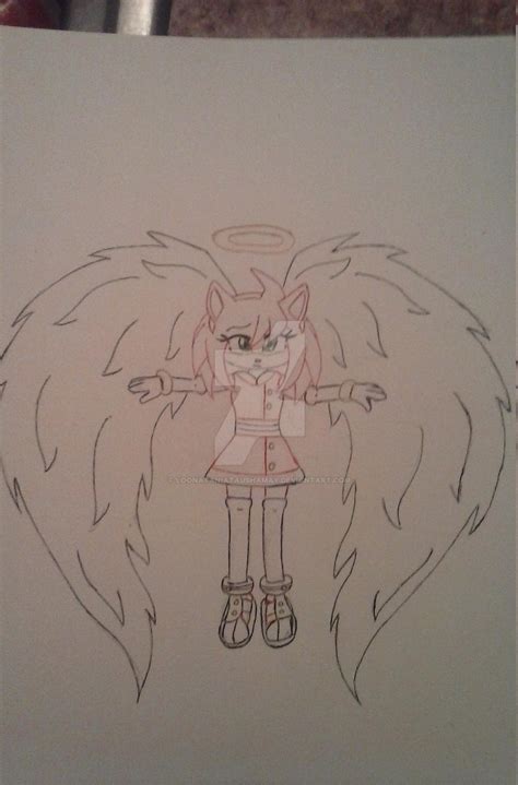 Amy Rose Sonic Boom Wings By Loonataniataushamay On Deviantart
