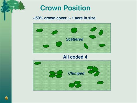 Ppt Crown Condition Classification Tutorial Powerpoint Presentation