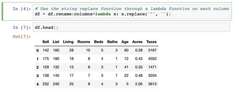 Renaming Columns In Pandas Data Courses