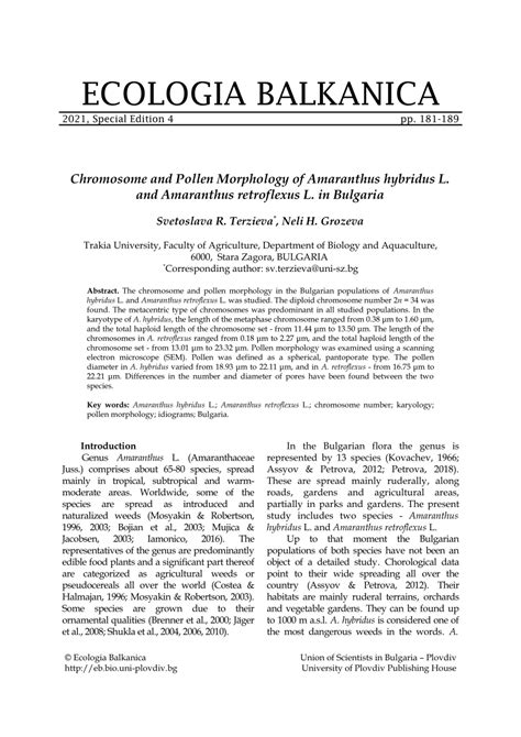 Pdf Chromosome And Pollen Morphology Of Amaranthus Hybridus L And