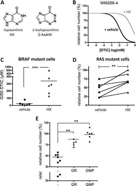 The Dtic Inhibitory Effect Is Overcome By Hypoxanthine A Structure Of