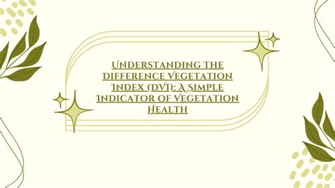 Understanding The Difference Vegetation Index Dvi A Simple Indicator