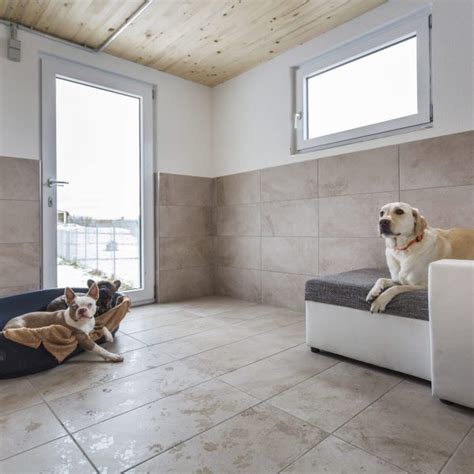 Zimmerpreise Hundehotel Volz