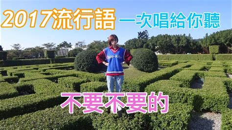 岑霏fei Fei —2017流行語大串燒「不要不要的（自創曲）」 Youtube