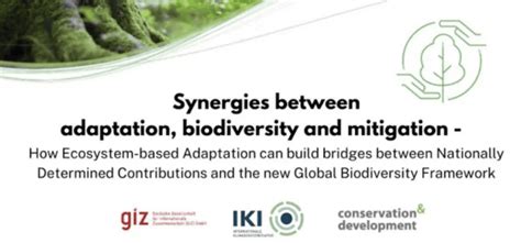 Launch Event Synergies Between Adaptation Biodiversity And Mitigation Adaptation Community