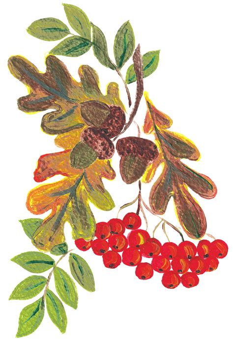 200 000 Free Rowan Tree And Rowan Images Pixabay