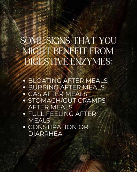 Mn Heidi Neubauer On Linkedin Digestive Health Is Crucial As It Matters Not Just What You Eat