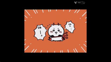 먼작귀 사진3탄 Youtube