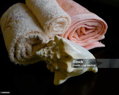 Profile View Of Queen Conch Shell Nassau Bahamas With Pink Bath Towels