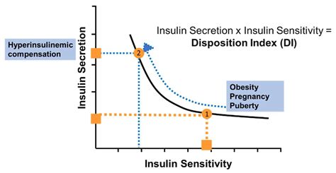 Ijms Free Full Text The Physiology Of Insulin Clearance