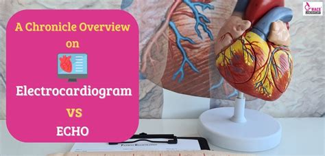Electrocardiogram Vs Echo [ Ecg Vs Echo ]