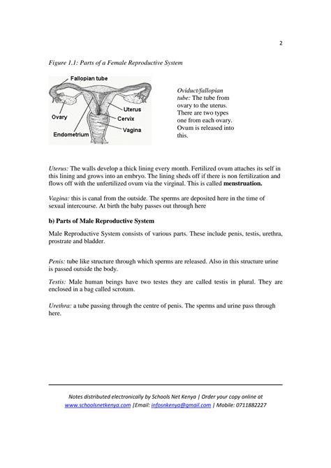 Solution Primary Science Notes For Class 7 And 8 Studypool
