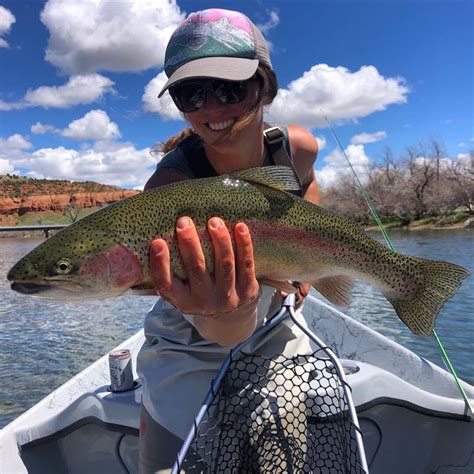 Tales From Summit Sage Clea Bertholet Wyoming Wildlife Federation