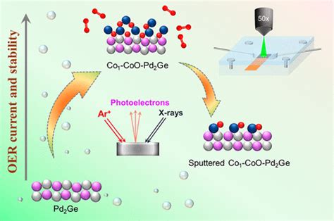 Distortion Induced Interfacial Charge Transfer At Single Cobalt Atom Secured On Ordered